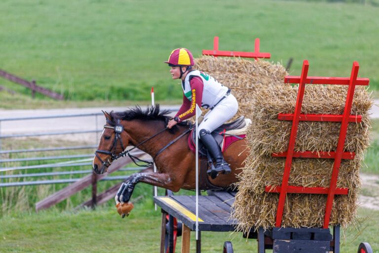 Evenementen – Manege Beukers